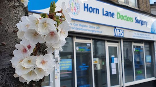 Horn Lane Doctors Surgery Family Practice Physician at 156 Horn Ln ...