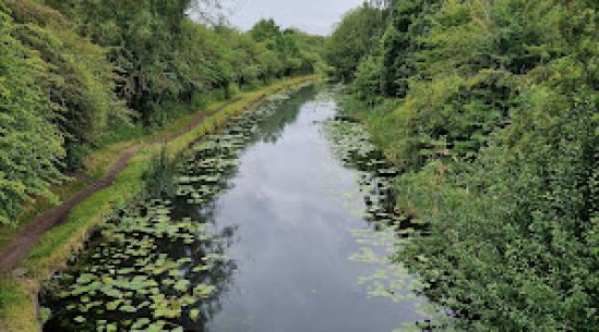 Bentley Haye Local Nature Reserve at Willenhall reviews in Walsall ...