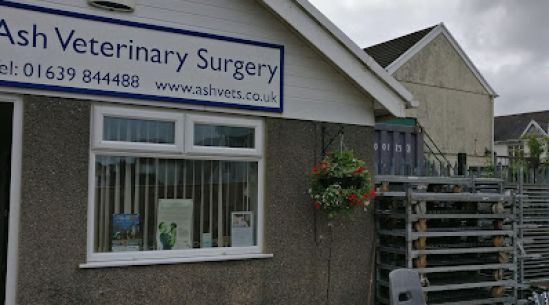 The 10 Best Veterinarians in Swansea, Wales reviews