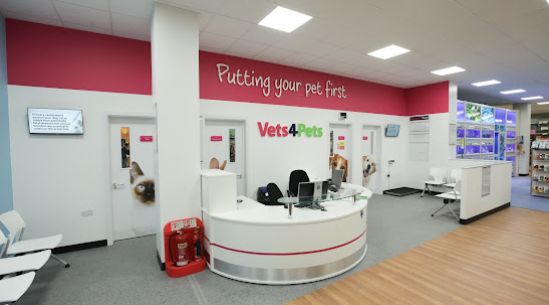 Vets4Pets - Epsom Veterinarian at 20-40 East St reviews, South East England