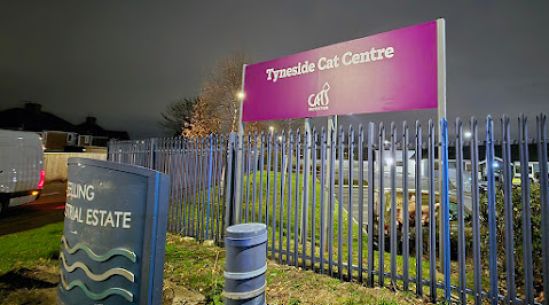 Cats Protection - Tyneside Cat Centre Charity at Green Ln reviews in ...